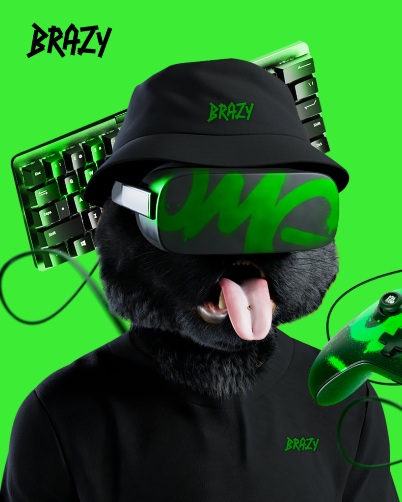 Esports and Mental Health: Why IT is Important For BRAZY to Care About ...